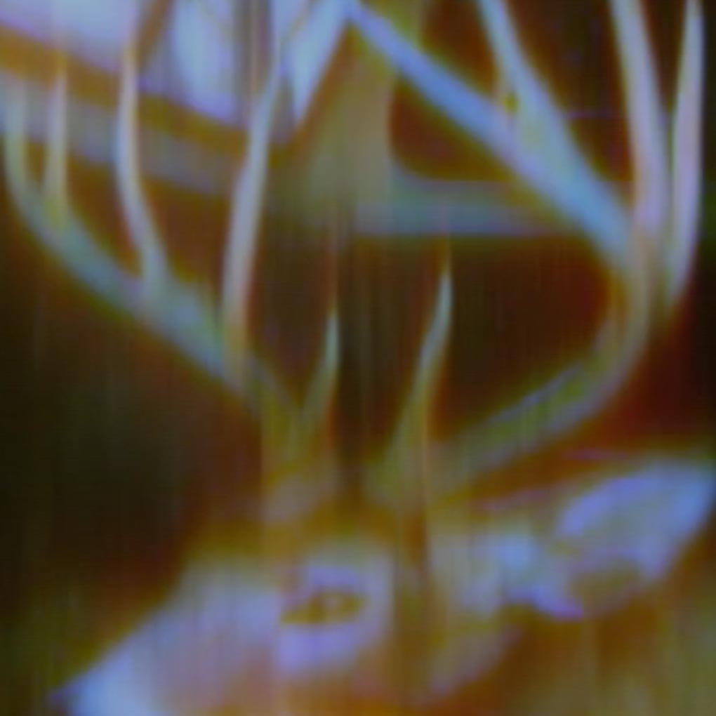 Brendan Reed - Projects